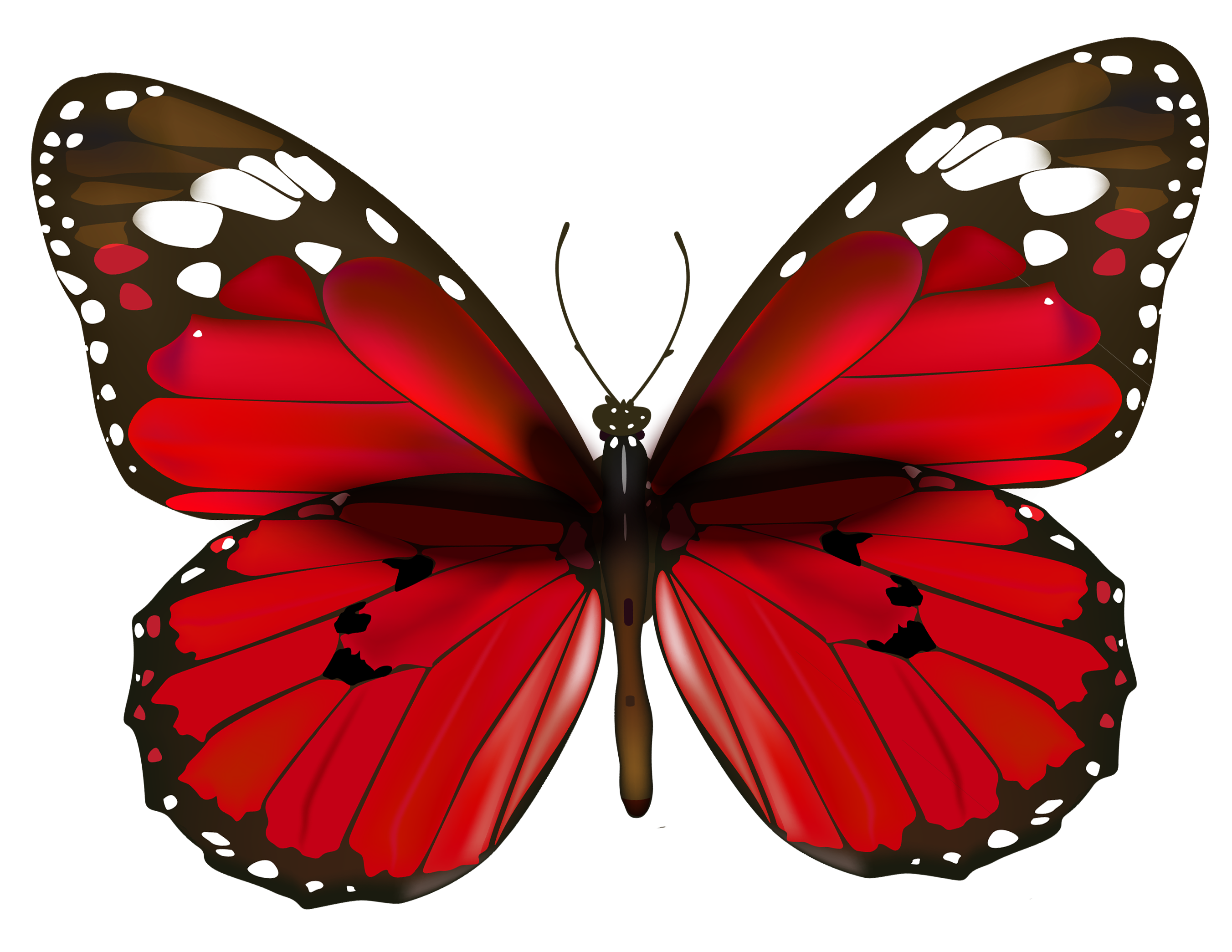 Red Butterfly Png Clipart Gallery Yopriceville High Quality Images