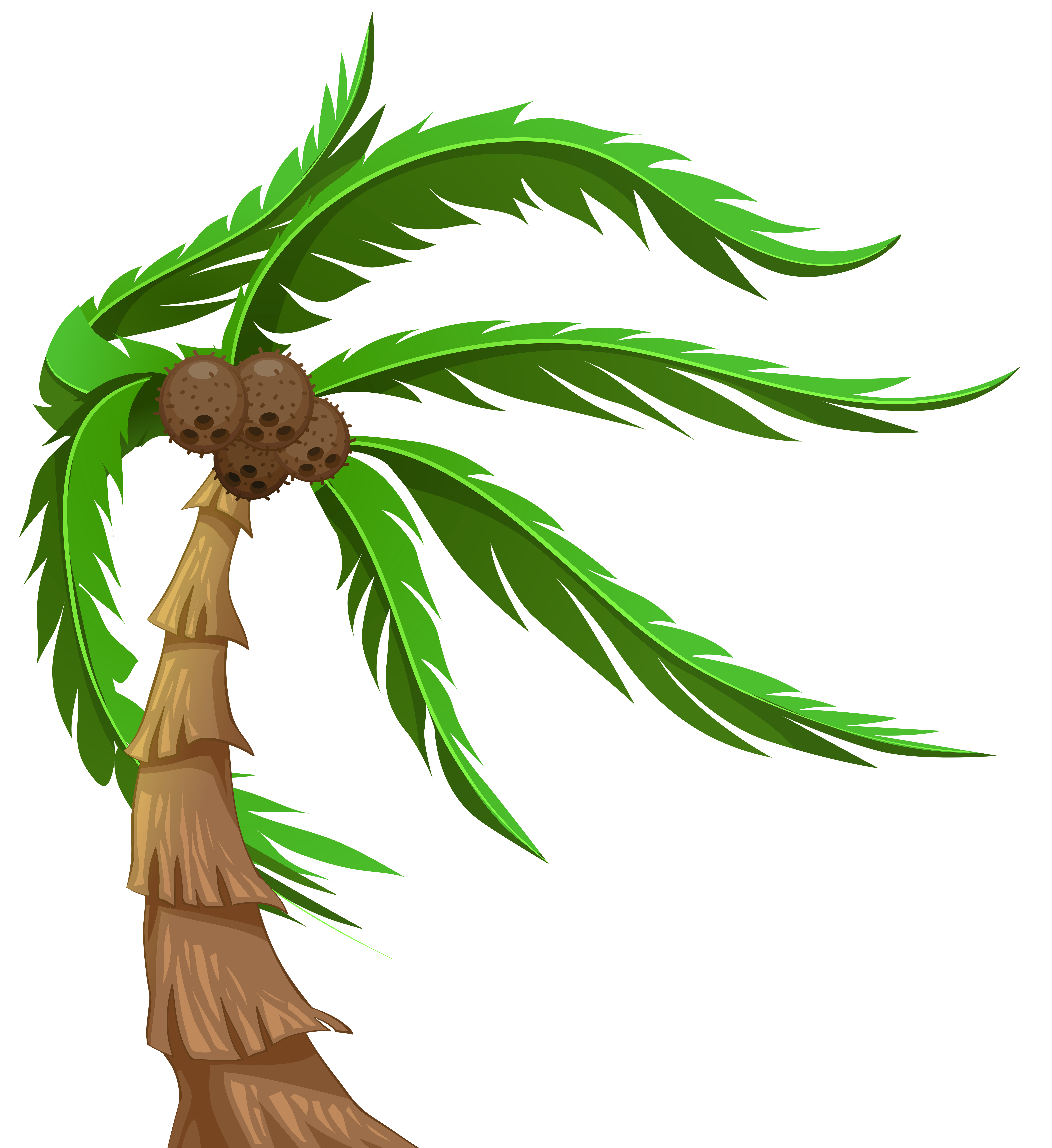 Palm with Coconuts Transparent PNG Clip Art Image | Gallery ... Palm with Coconuts Transparent PNG Clip Art Image | Gallery ...