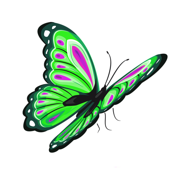 Green And Pink Butterfly Png Clipart Picture Gallery Yopriceville