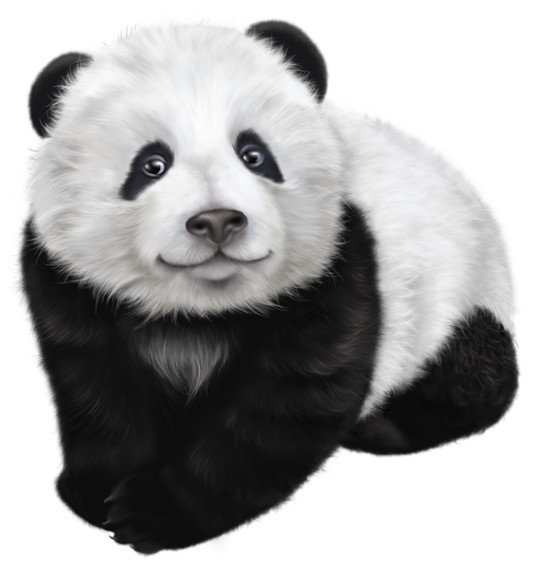 Panda Transparent Clip Art Image | Gallery Yopriceville - High-Quality ...