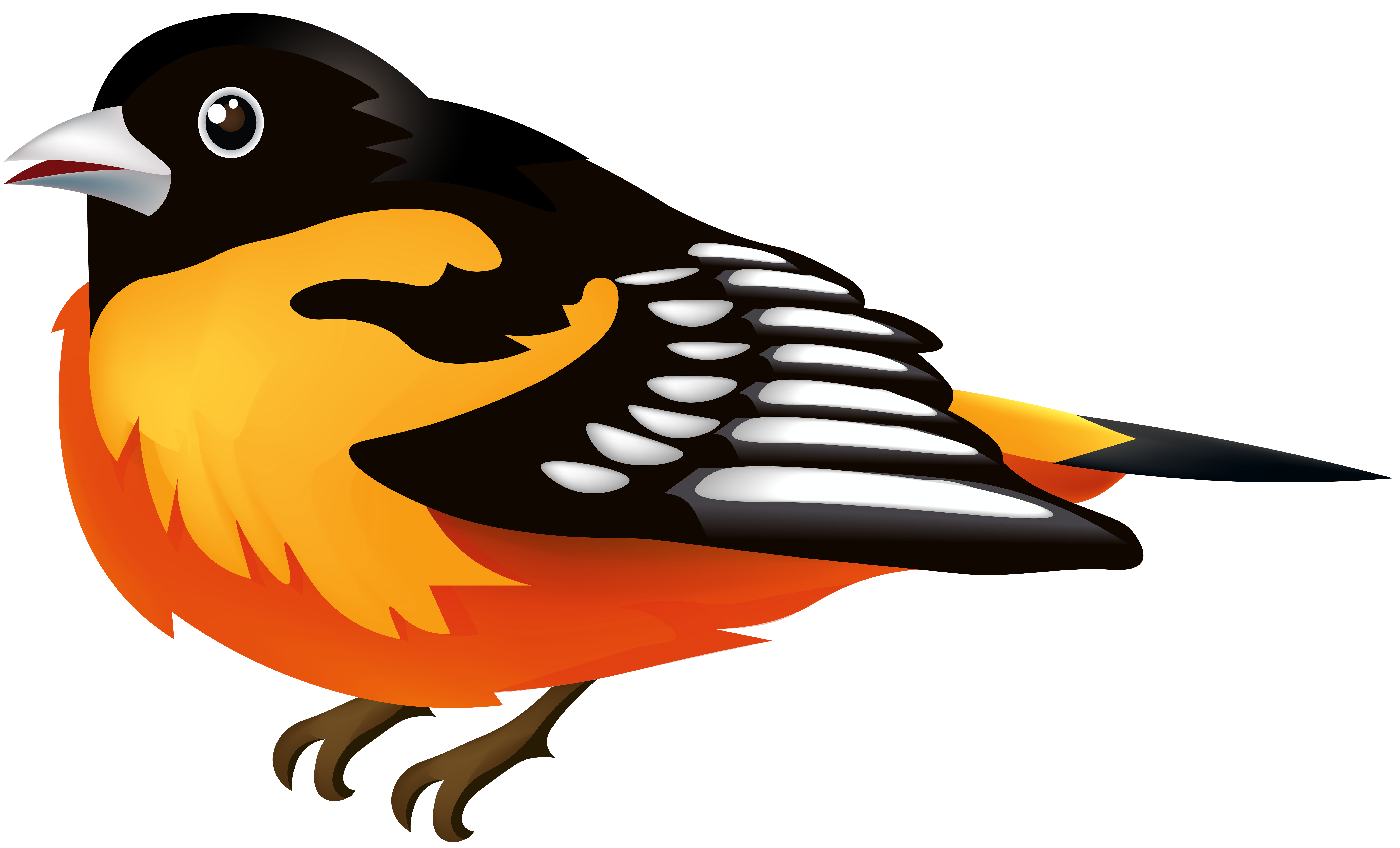 Bird Transparent Clip Art | Gallery Yopriceville - High-Quality Images ...