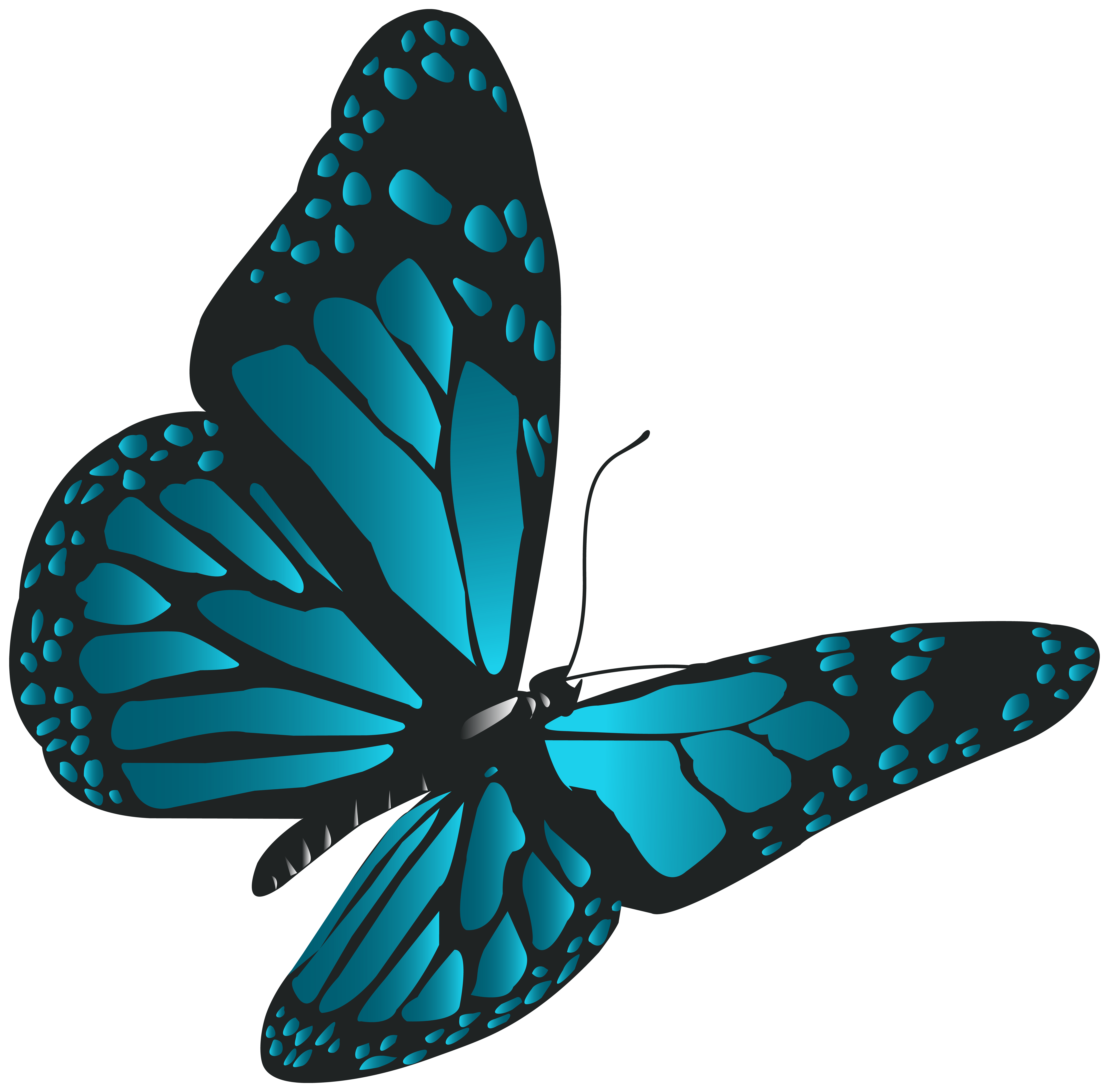 Blue Butterfly PNG Clip Art | Gallery Yopriceville - High-Quality ...