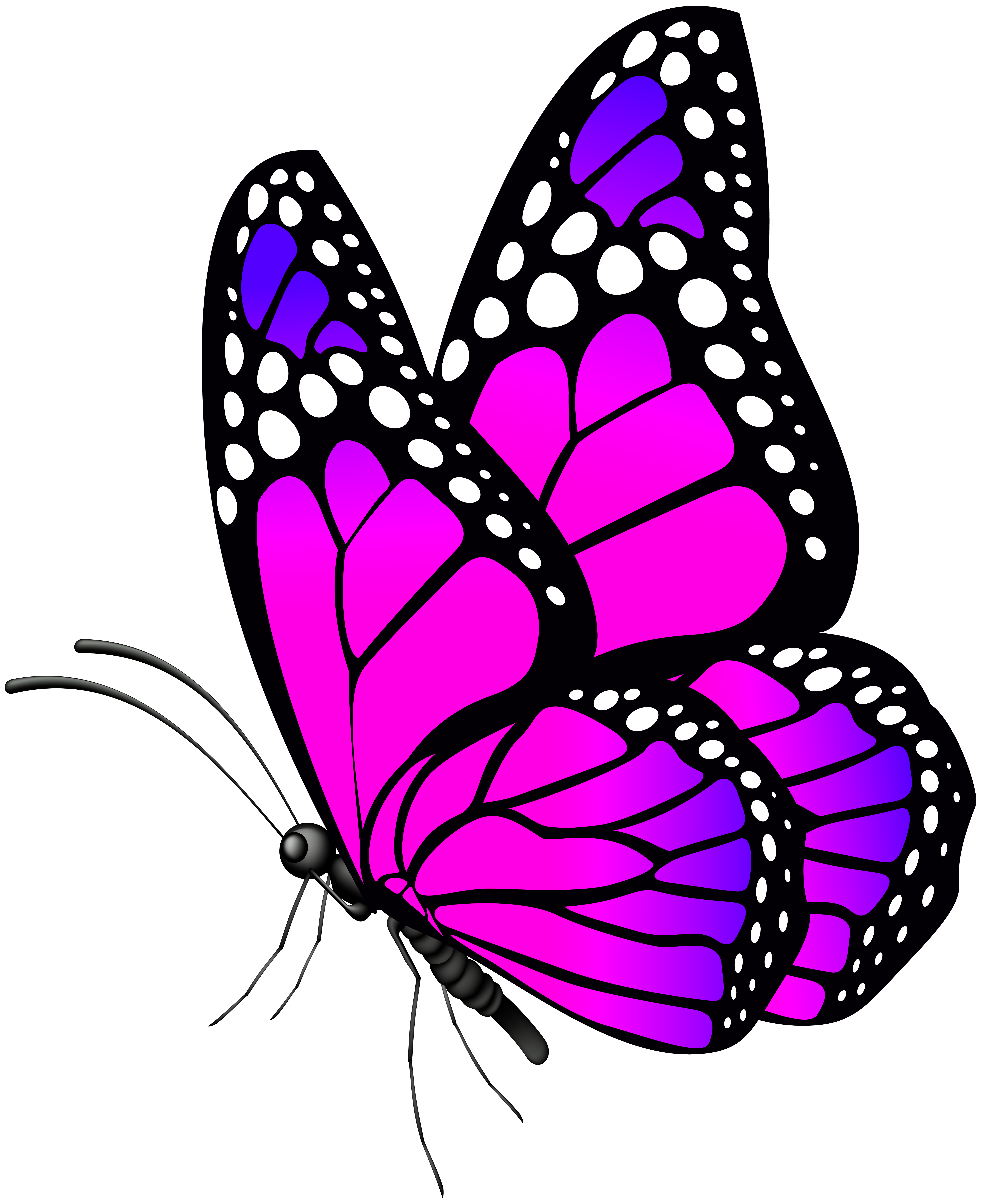 Butterfly Pink Png Clip Art Image Gallery Yopriceville High Quality