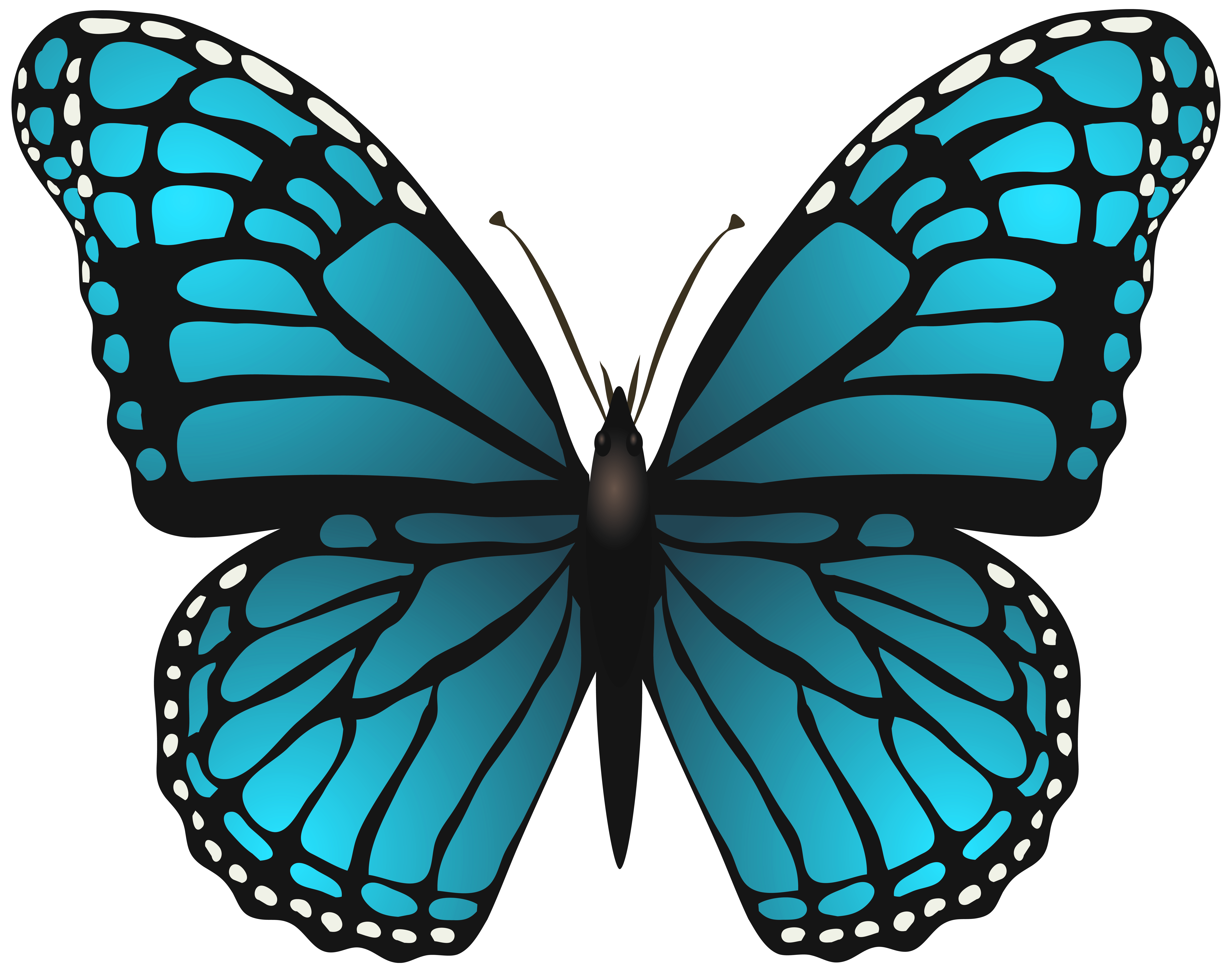 Large Blue Butterfly Png Clip Art Image Gallery Yopriceville High