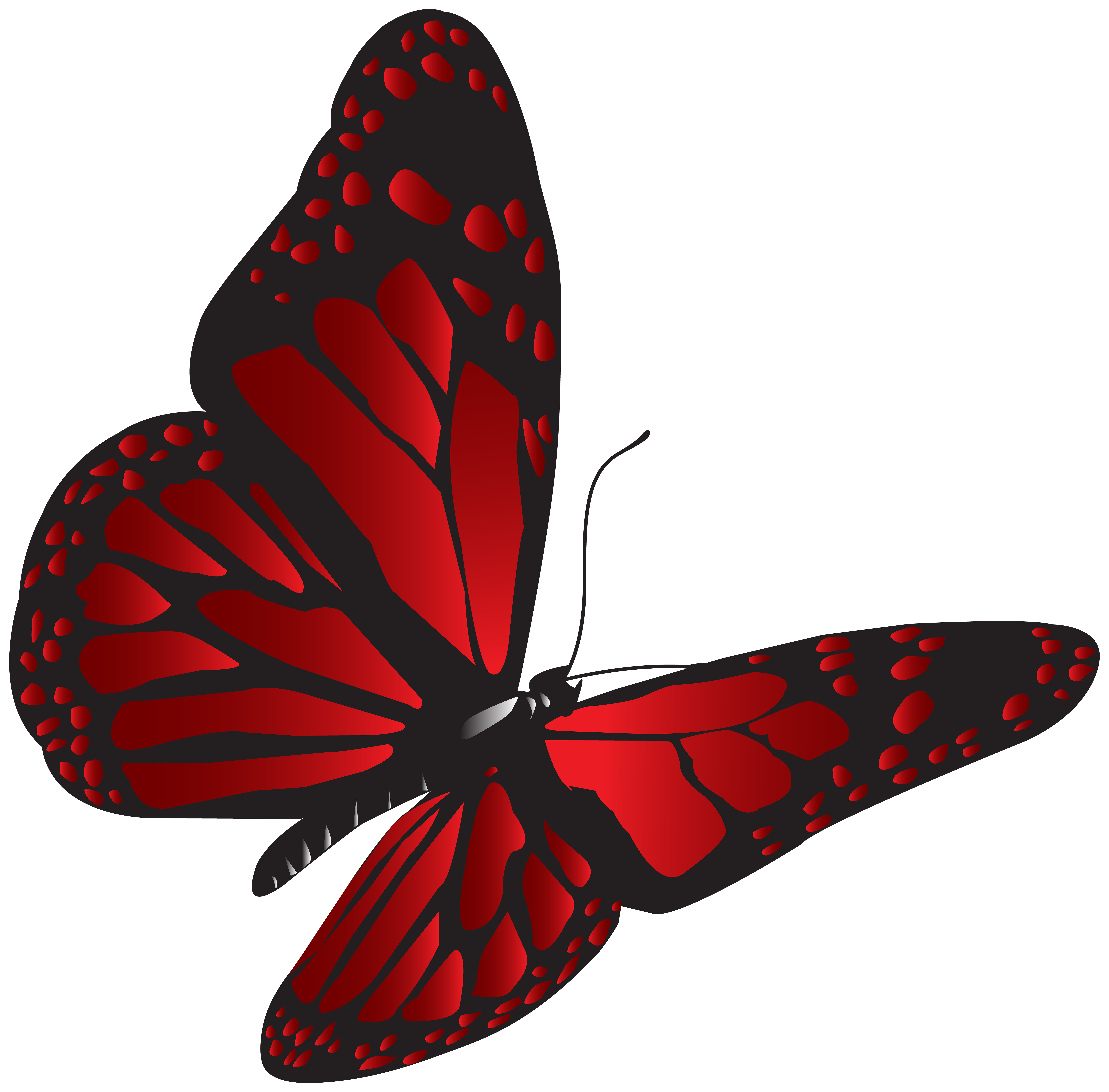 Red Butterfly Png Clip Art Gallery Yopriceville High Quality Free