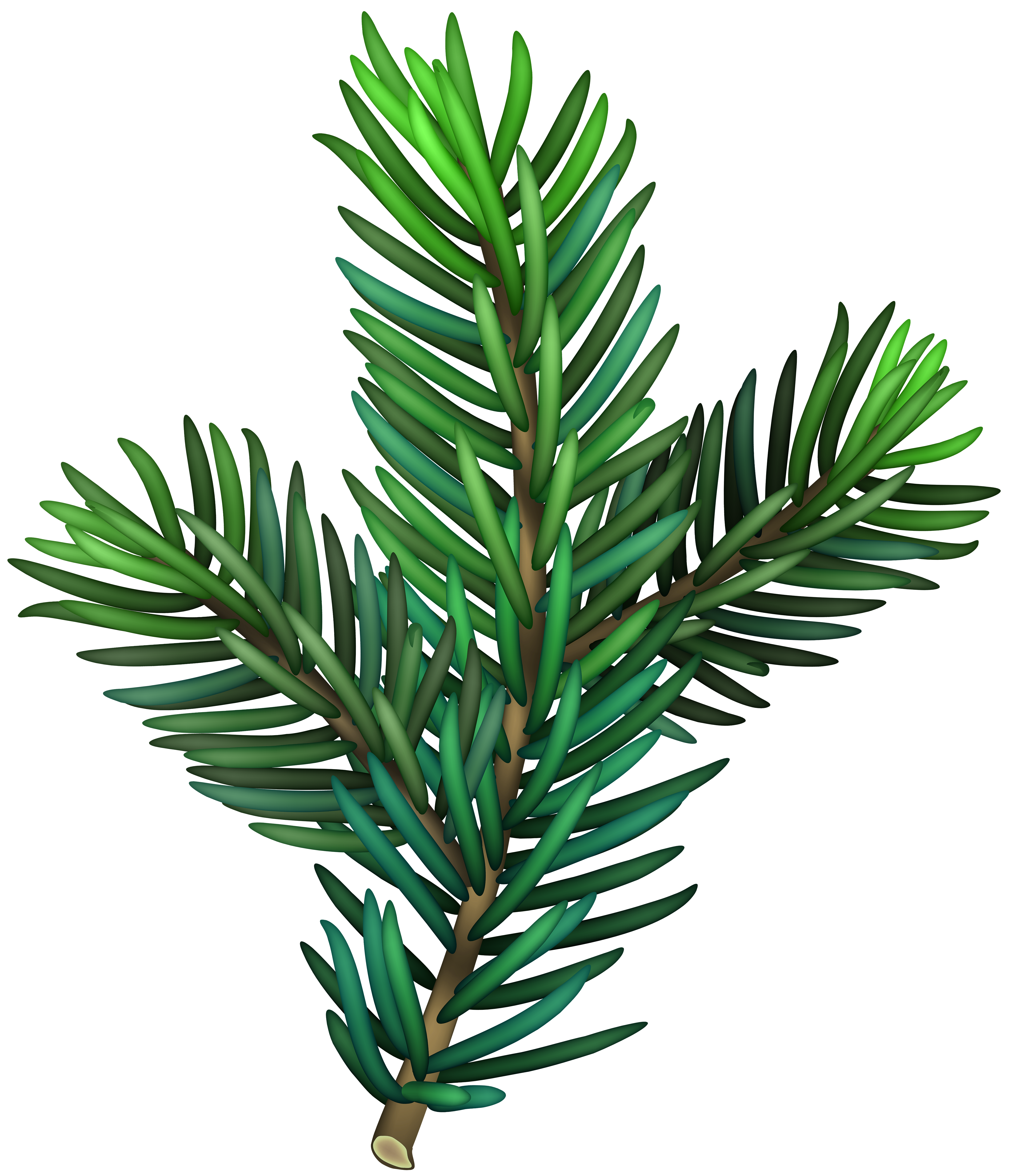 Can I Use Free Evergreen Gireoors Welcome To The Evergreen Market can-i-use-free-evergreen-gireoors-welcome-to-the-evergreen-market