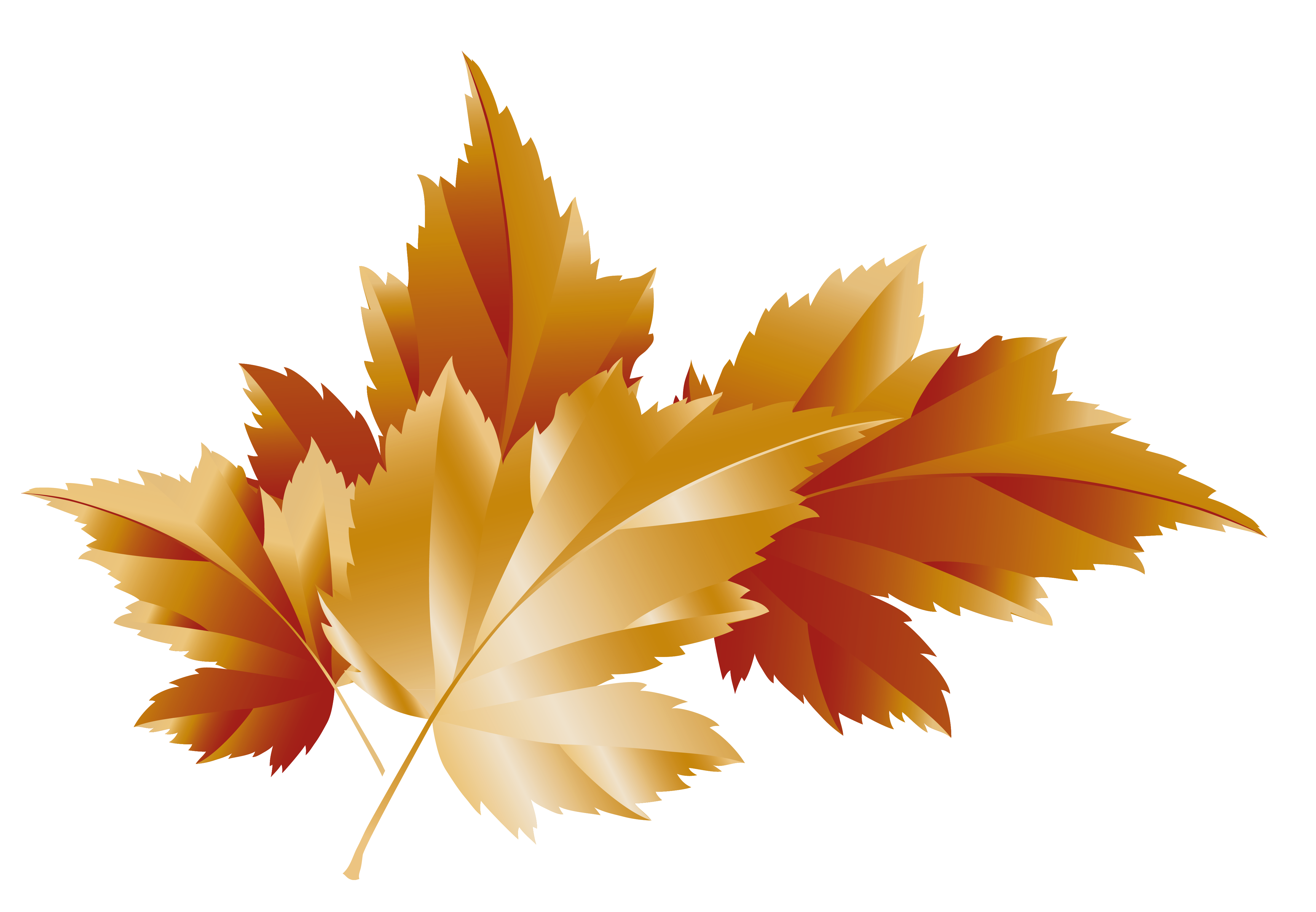 Fall Transparent Leaves Decor Picture | Gallery Yopriceville - High ... Fall Transparent Leaves Decor Picture | Gallery Yopriceville - High ...