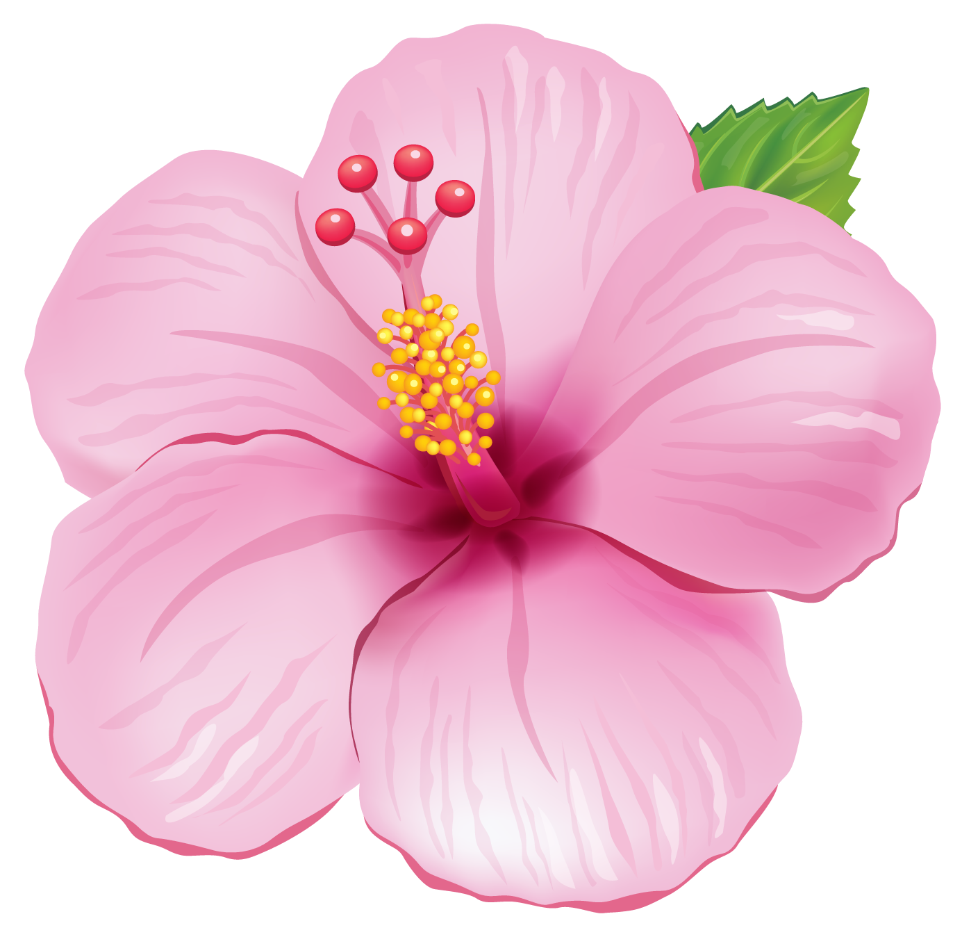 Pink Exotic Flower Png Clipart Picture Gallery Yopriceville High Quality Free Images And