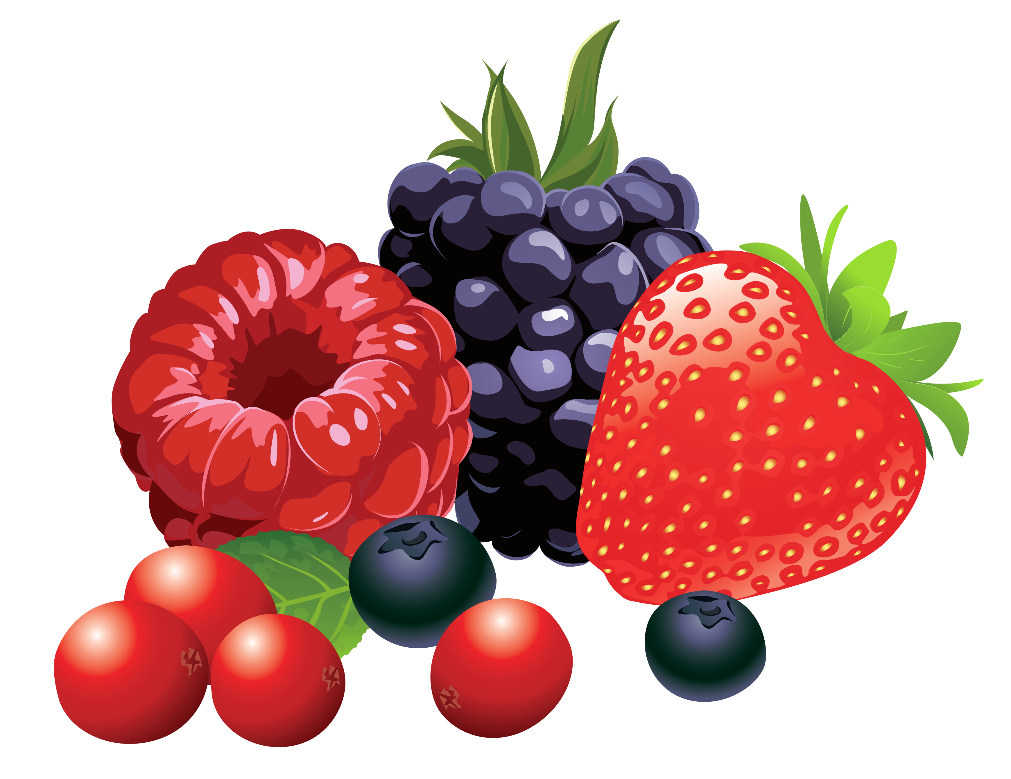 Forest Fruits Png Vector Clipart Image Gallery Yopriceville High