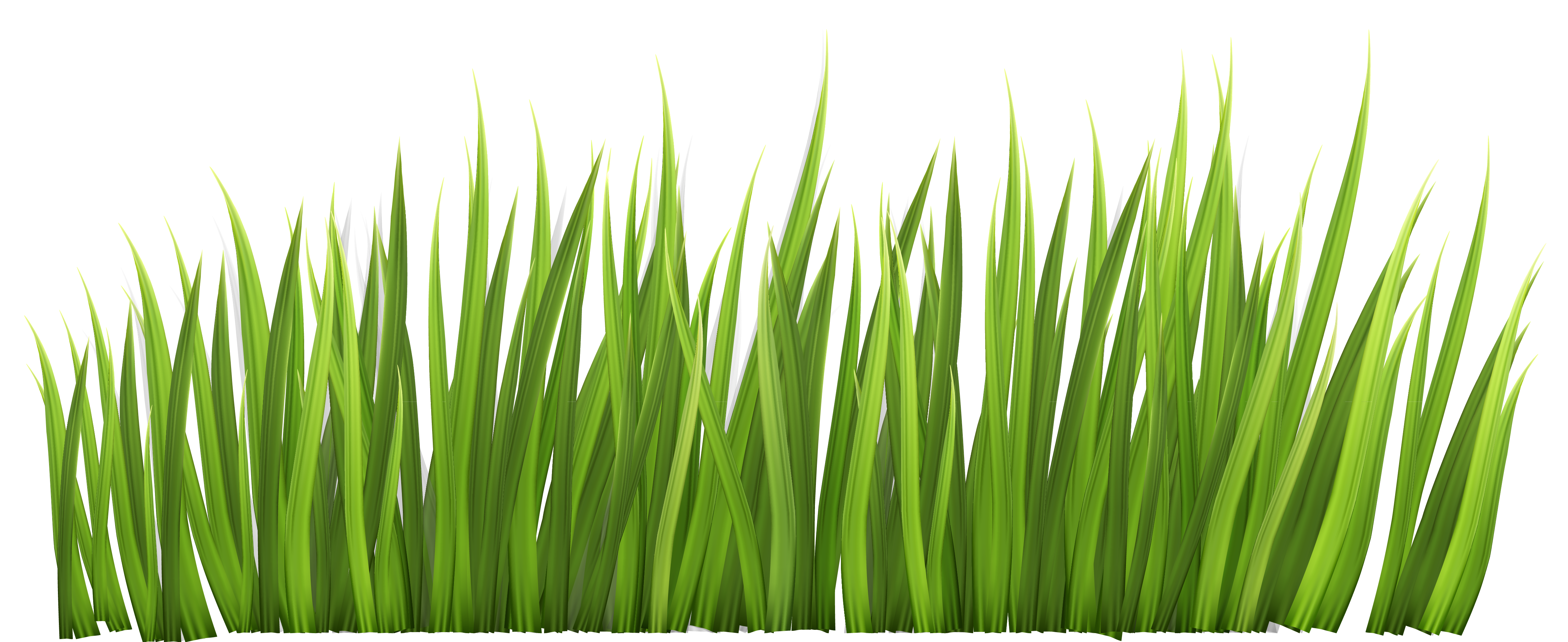 Grass Decor Png Clipart Picture Gallery Yopriceville High Quality Free Images And