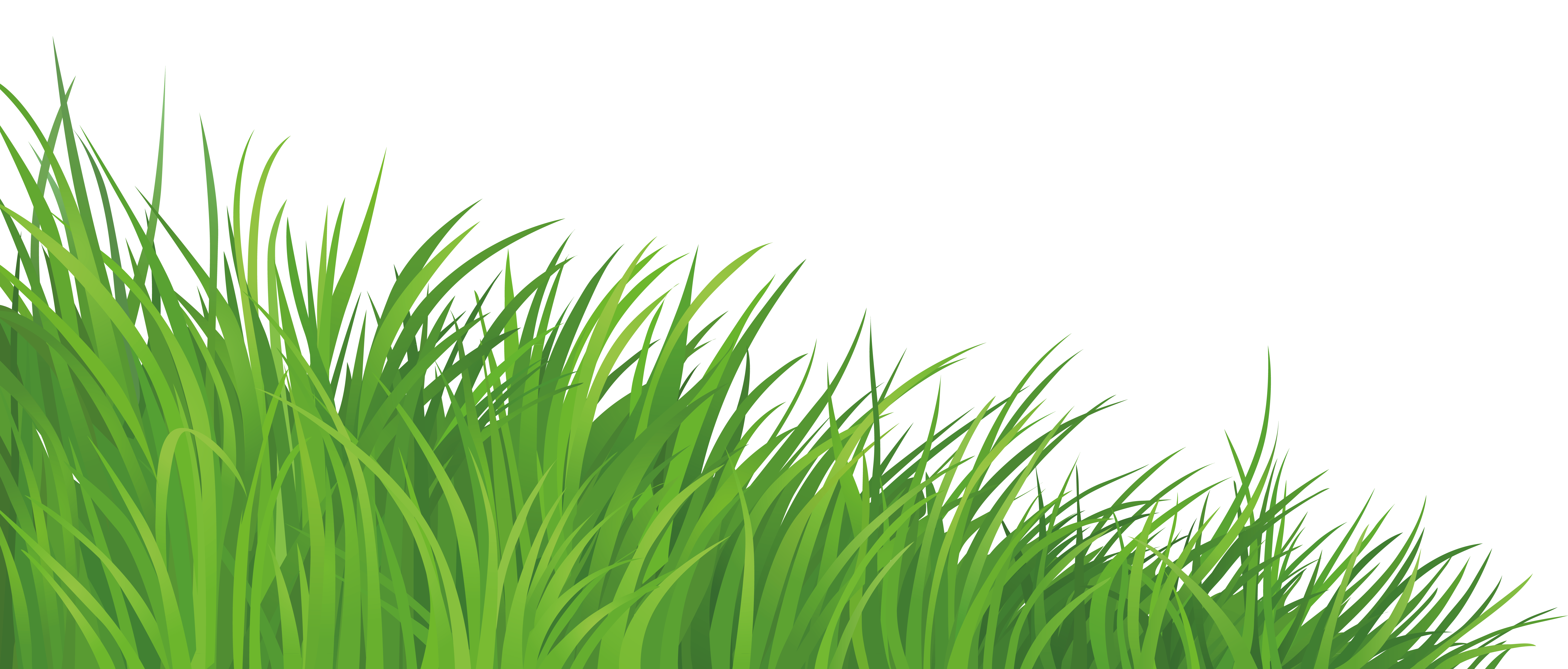 Grass Element PNG Clipart Picture | Gallery Yopriceville - High-Quality ... Grass Element PNG Clipart Picture | Gallery Yopriceville - High-Quality ...