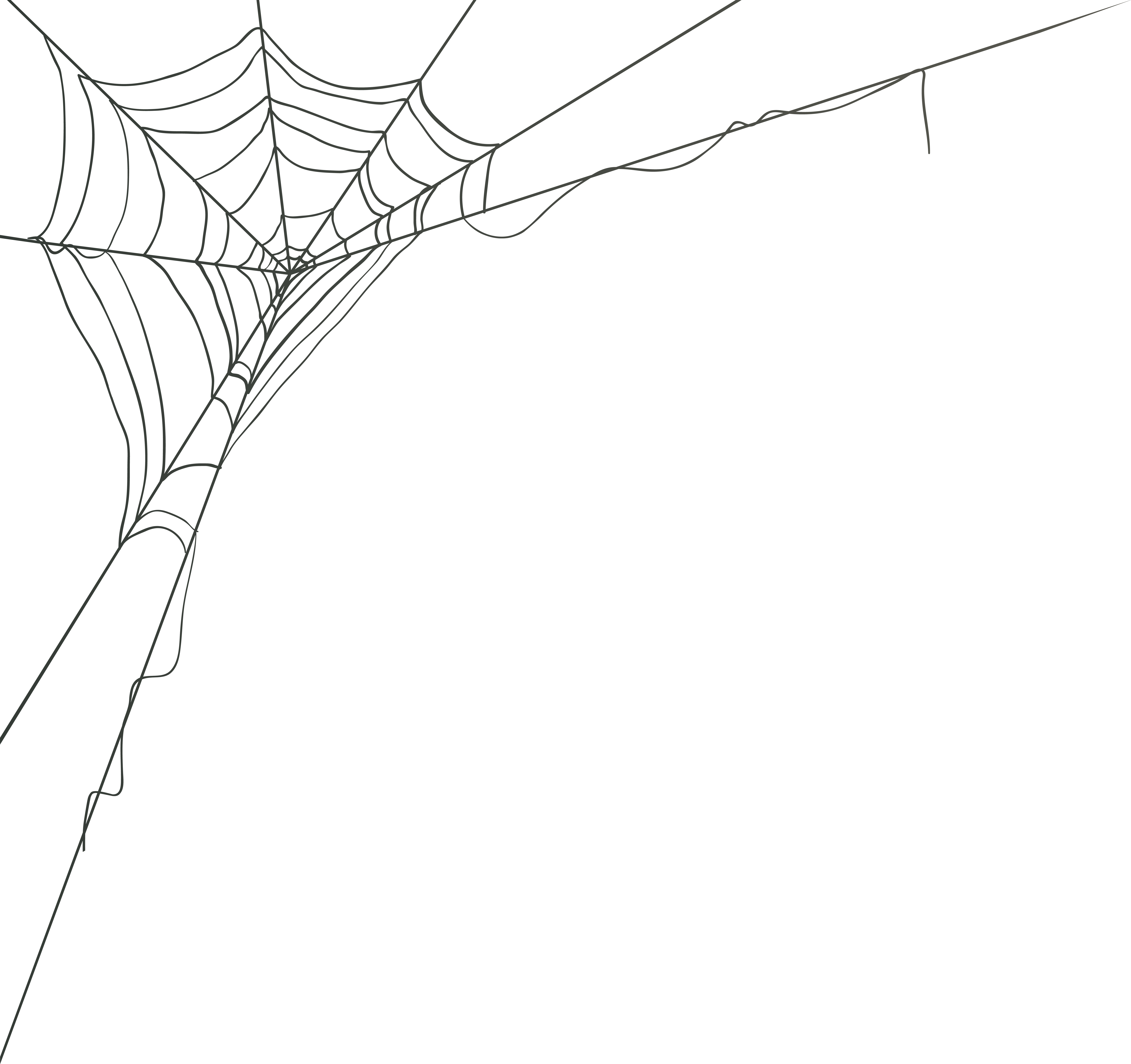 Corner Spider Web Cartoon Corner Spider Web Cartoon