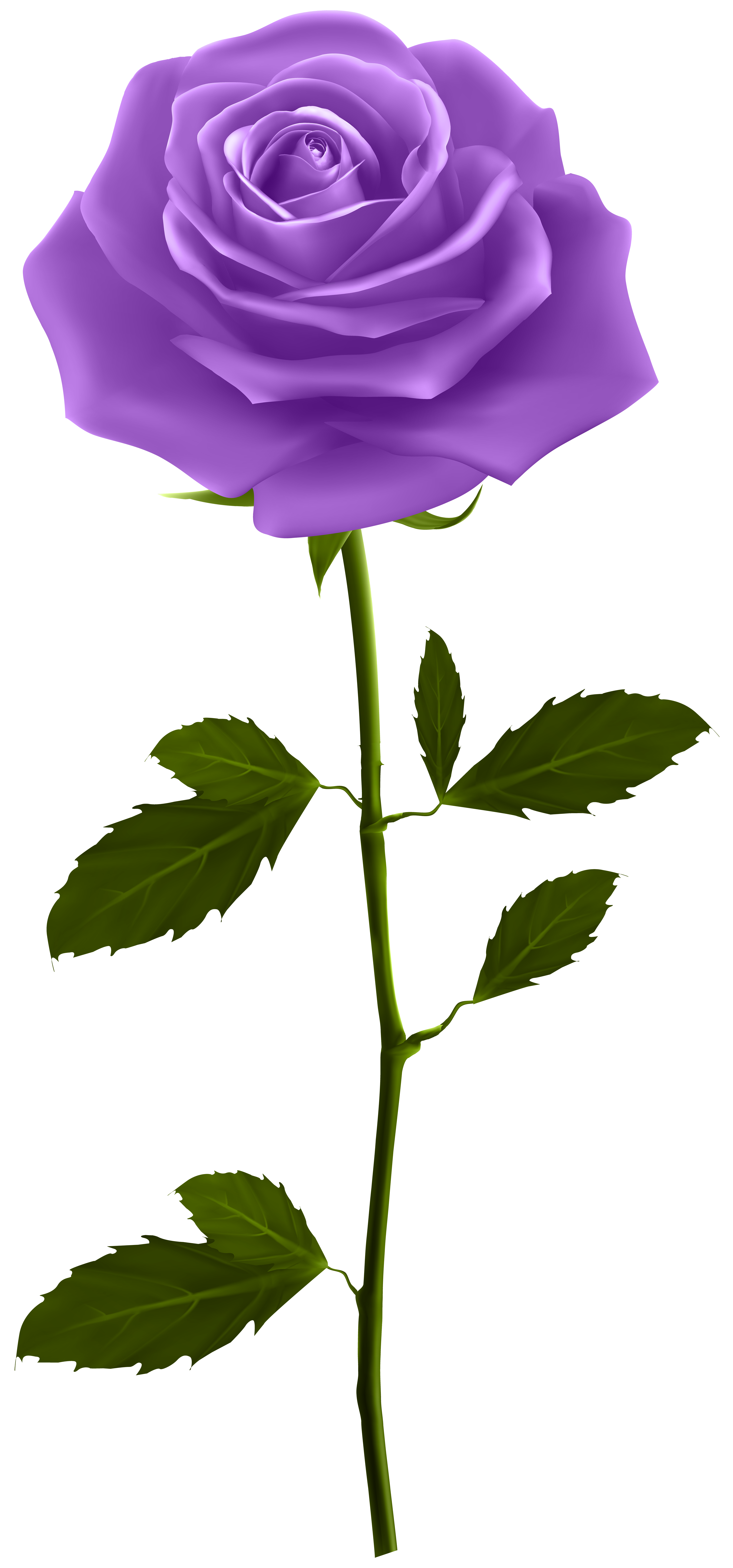 Purple Rose with Stem PNG Clip Art Image | Gallery Yopriceville - High ...