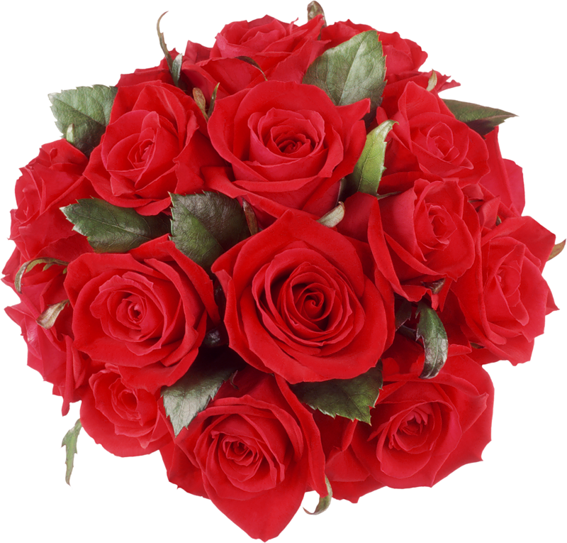 Red Roses Bouquet Png Clipart Gallery Yopriceville High Quality