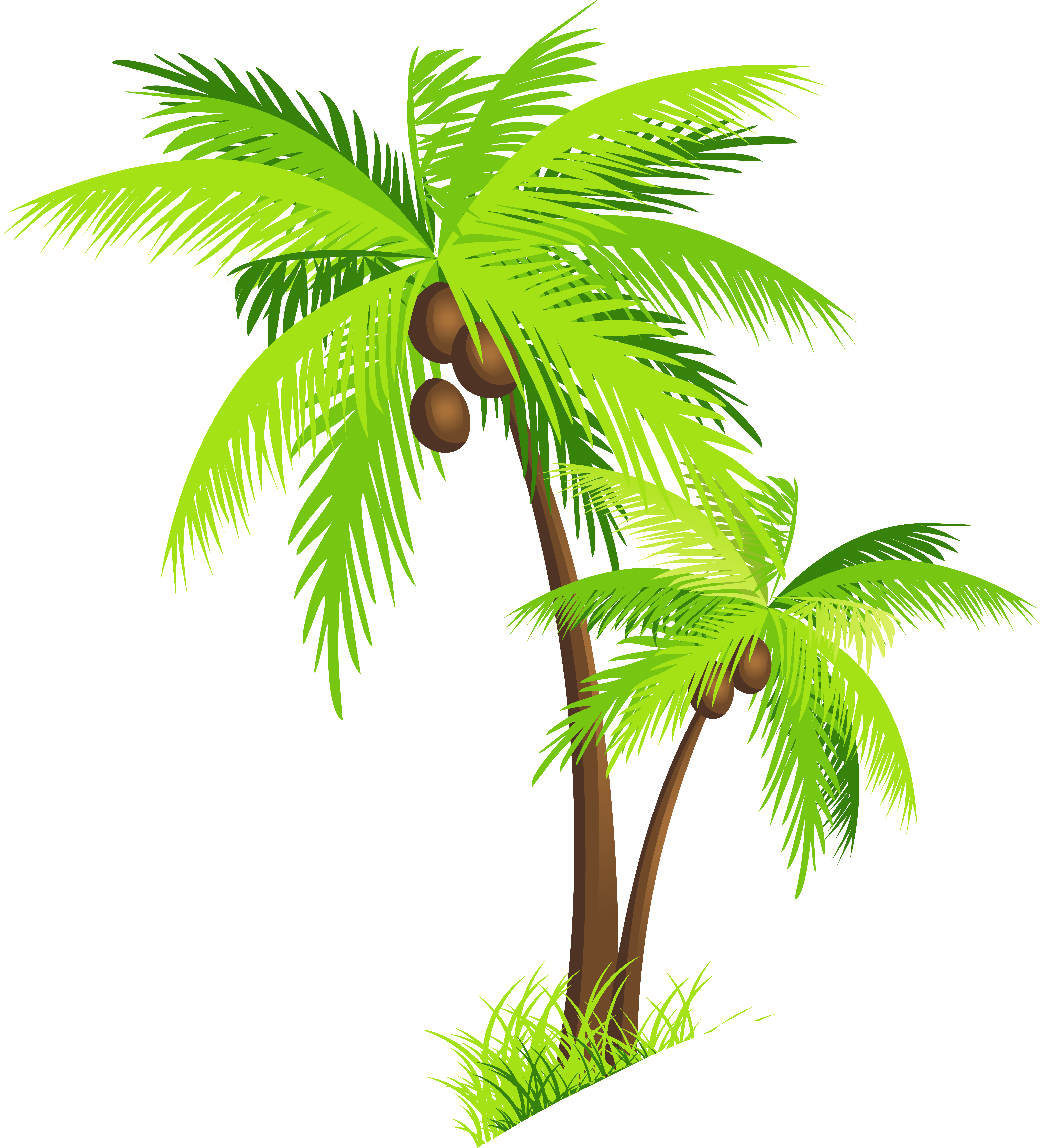 Palm Tree with Coconuts PNG Clipart Picture | Gallery Yopriceville ... Palm Tree with Coconuts PNG Clipart Picture | Gallery Yopriceville ...