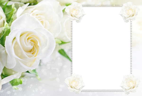 Transparent Soft White Roses Frame | Gallery Yopriceville - High ...