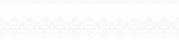 Lace Border Transparent