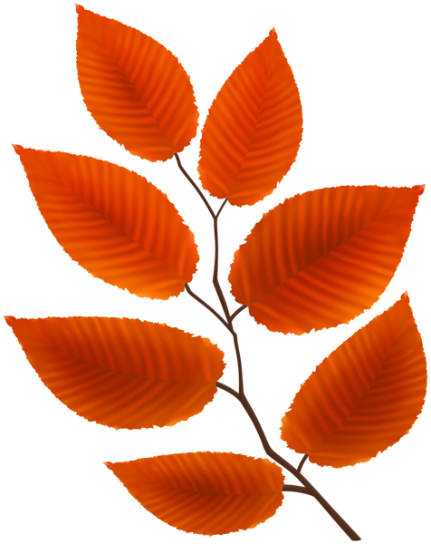 Red Autumn Leaves Twig PNG Clipart | Gallery Yopriceville - High ...