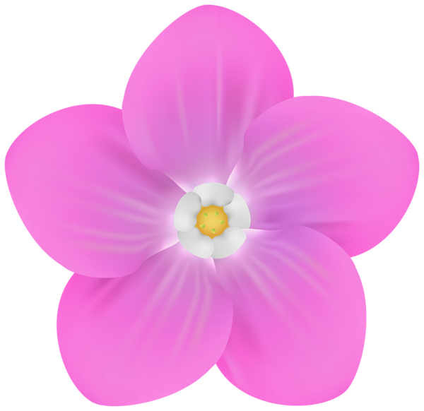 Pink Garden Flower Decor Png Clipart Gallery Yopriceville High