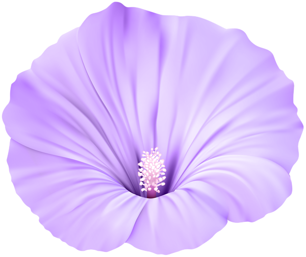 Violet flower clip art