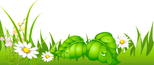 Grass With Daisies Ground Png Picture Gallery Yopriceville High