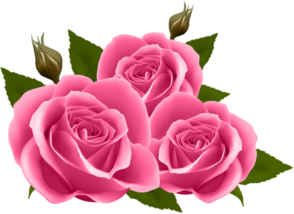 Pink Roses Png Clip Art Image Gallery Yopriceville High Quality