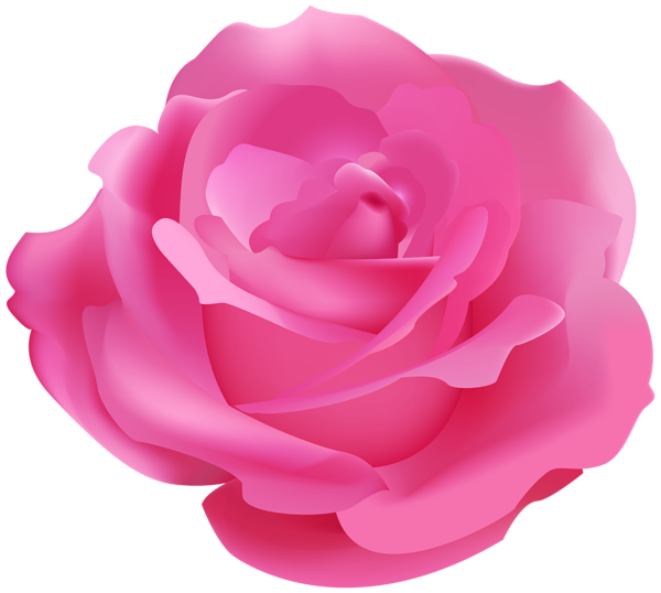 Pretty Pink Rose Png Clipart Gallery Yopriceville High Quality Free