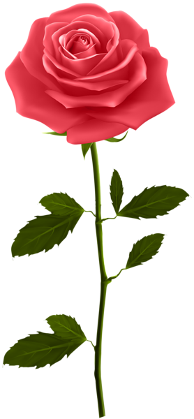 Red Rose With Stem Png Clip Art Gallery Yopriceville High Quality Free Images And