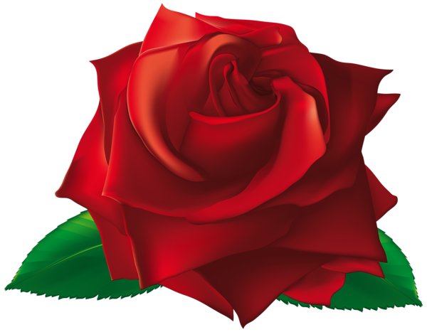 Red Single Rose Png Clipart Image Gallery Yopriceville High Quality Free Images And