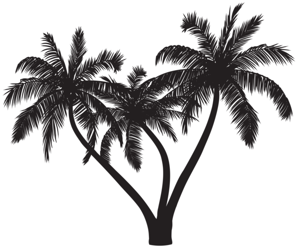 Palms Silhouette PNG Clipar | Gallery Yopriceville - High-Quality Free ... Palms Silhouette PNG Clipar | Gallery Yopriceville - High-Quality Free ...