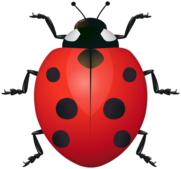 Ladybug Clipart Image | Gallery Yopriceville - High-Quality Free Images ...