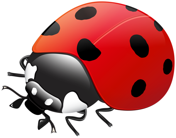 Ladybug Transparent Image | Gallery Yopriceville - High-Quality Free ...