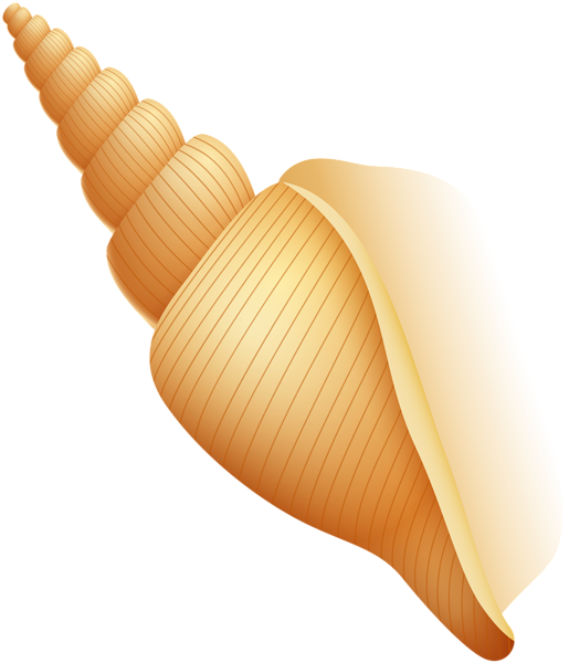 Beach Sea Shell PNG Clip Art Image | Gallery Yopriceville - High ...