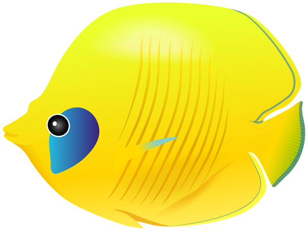 Yellow Fish PNG Transparent Clipart | Gallery Yopriceville - High ...